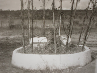 Batalhão de Caçadores 4517: o livro á entrada de Cangamba