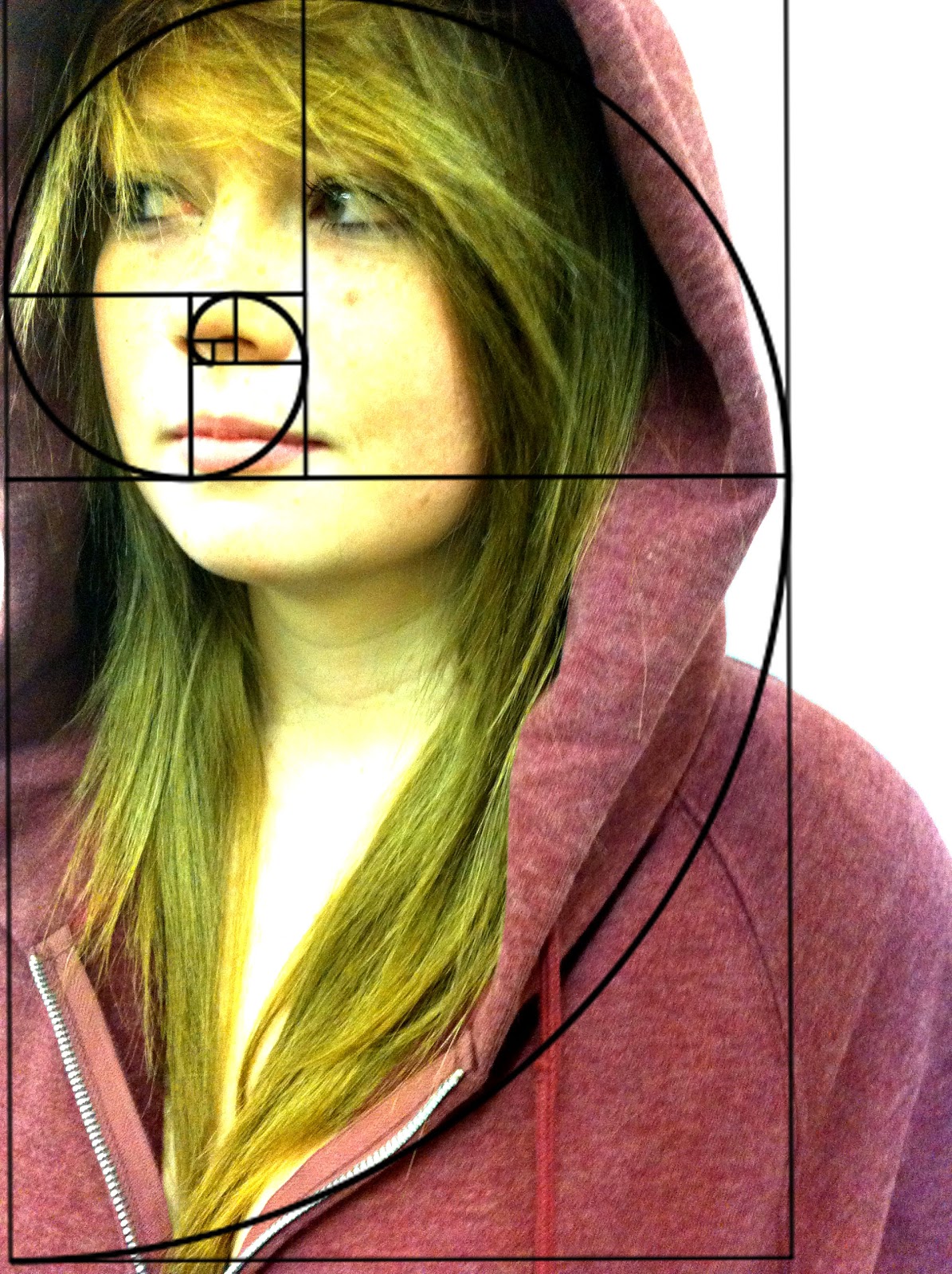 Golden Spiral golden-spiral