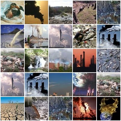 PROBLEMATICA AMBIENTAL: CONCECUENCIAS DE LOS PROBLEMAS AMBIENTALES