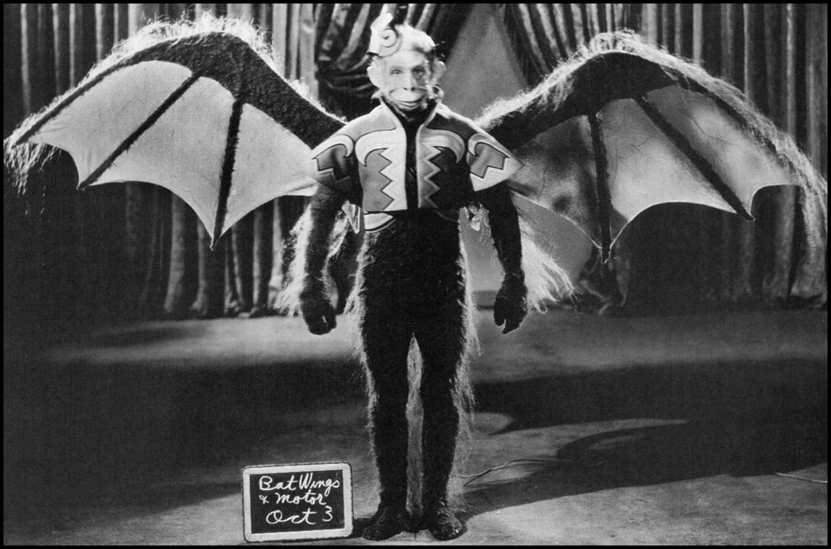 all things about Flying Monkeys