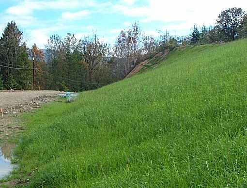 HOUSE CONSTRUCTION IN INDIA: VAASTU SHASTRA | SLOPE OF SITE