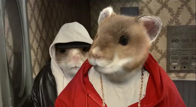 m. molly backes: WTF, Hamsters?