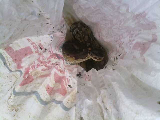 Dare to Dream...Cikgu Charles B..My Life,My Journey..To Succes.: My ...