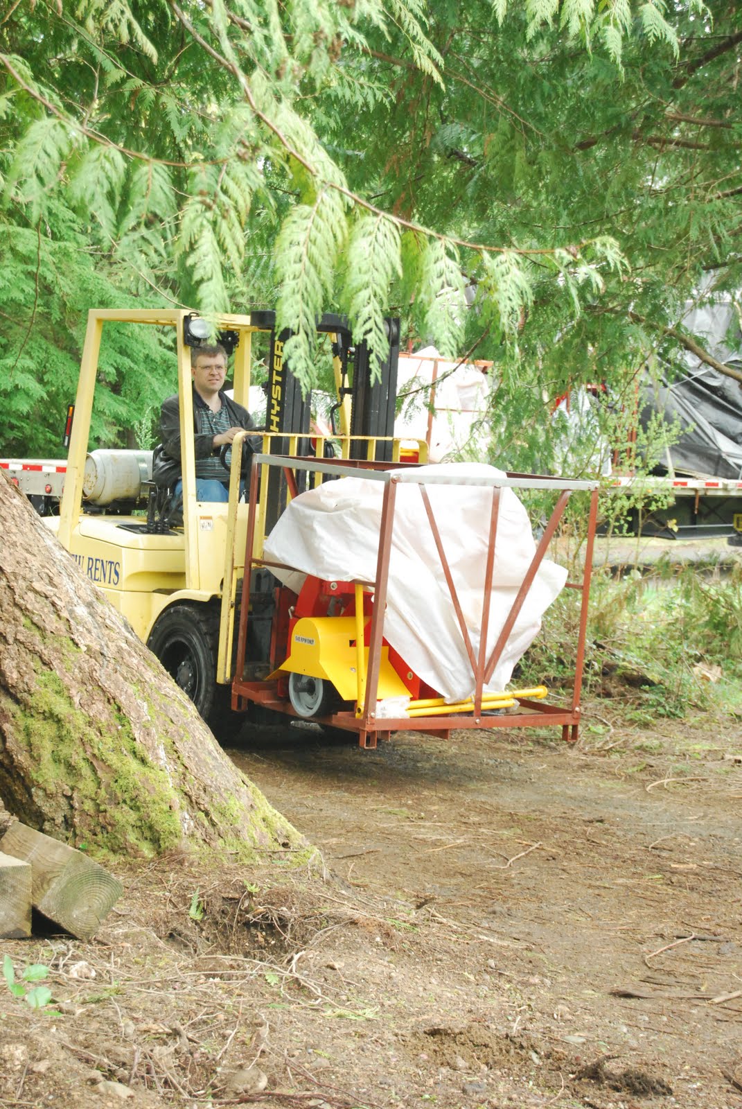 Homegrown and Heartgrown: It is a bouncing, baby ...