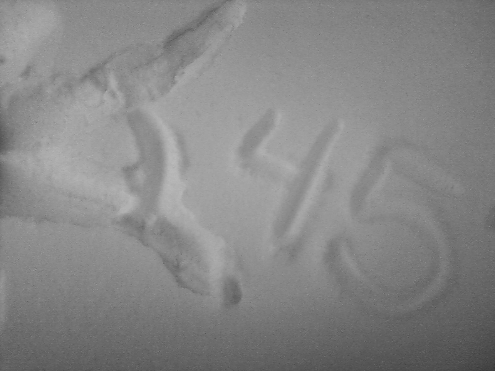 itwalkedonmypillow: snow angles