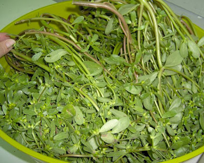 LODY'S CREATIONS: A Stitcher's Journey From The Heartland: August 2009