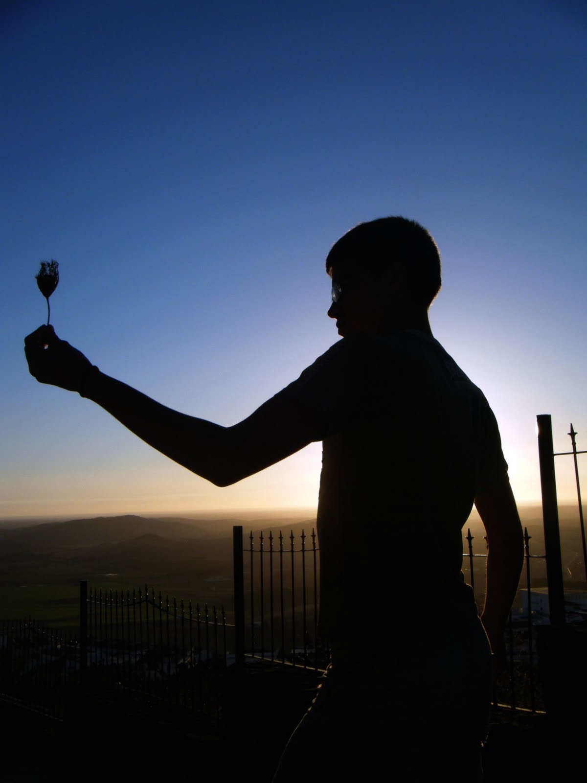 Todo depende de como lo mires: Contraluz.