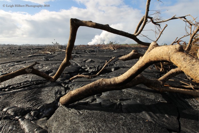 HAWAIIAN LAVA DAILY: ~ New lava benches are very dangerous ~ Coastal ...
