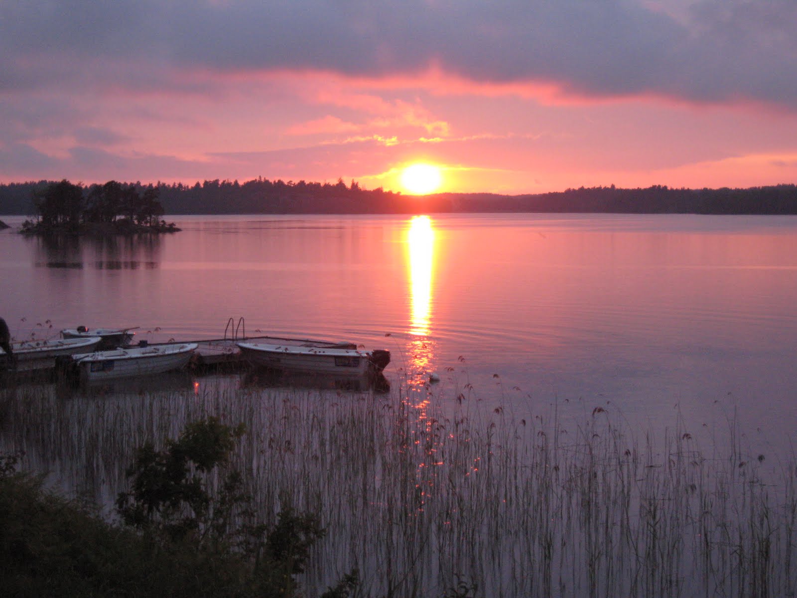 sweden predator fishing: Fin de séjour à Baven