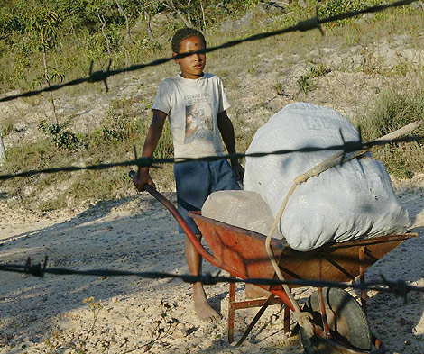 La explotación infantil: la explotacion infantil