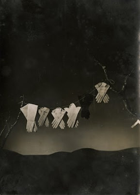 Rancho Las Voces: Galería / André Durst