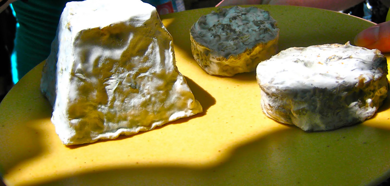 Britta in Italy | Global Crossroads | Page 2