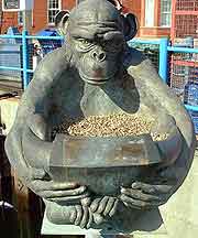 Bad Penny: From Monkey Hangers to Mancunians