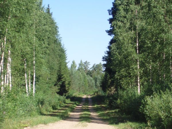 Rattamatk: 17.juuli 2010