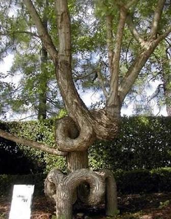 That is just WEIRD!!!