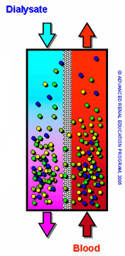 Scientific Principles Used in Dialysis
