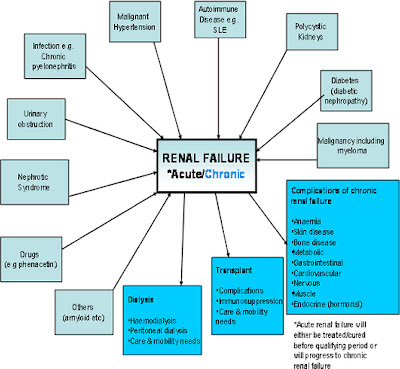 Stages of Chronic Kidney Disease CKD