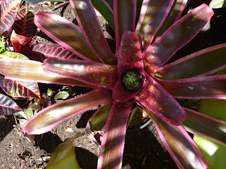 This is Rossi's Blog Spot