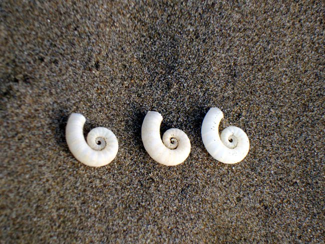 Welcome to New Zealand