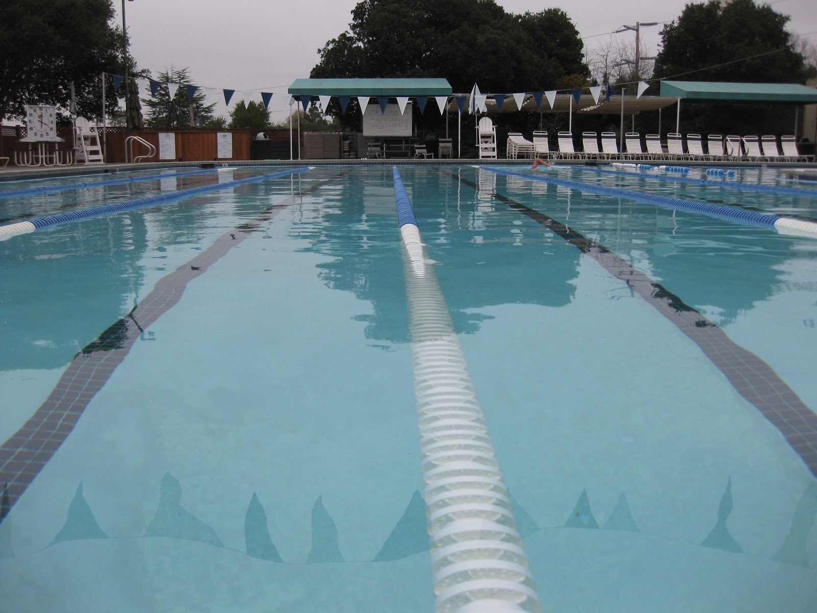 Jib jab with Tim: Triple Crown PCC Aquatics Center