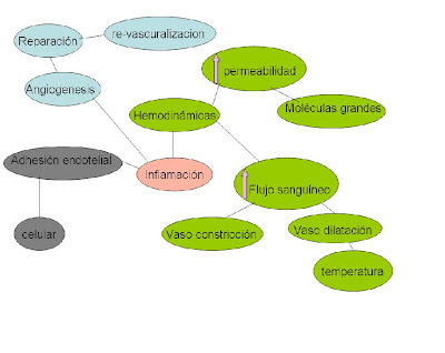 Kine Grupo 1 !!: Mapas