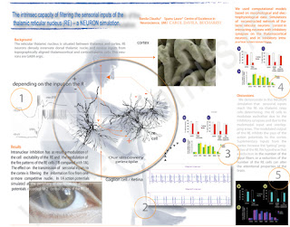 Neuroscience Blog: Neuroscience Poster Design