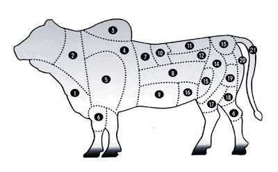 Bovino Nobre - Qualidade em Carnes: Cortes de Boi