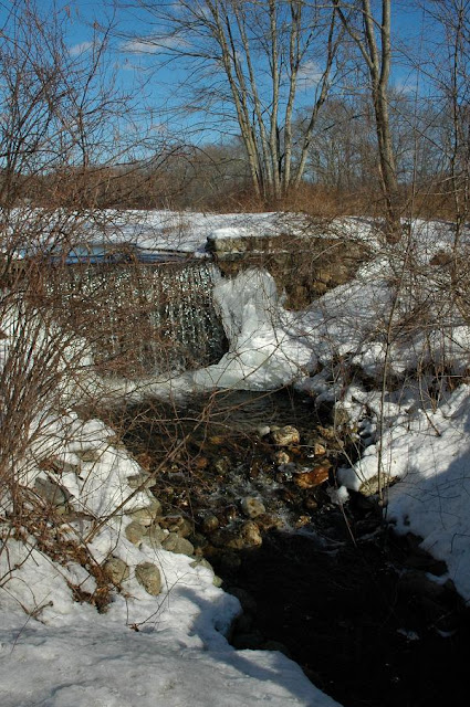 OTIS (Odd Things I've Seen): Frog Bridge