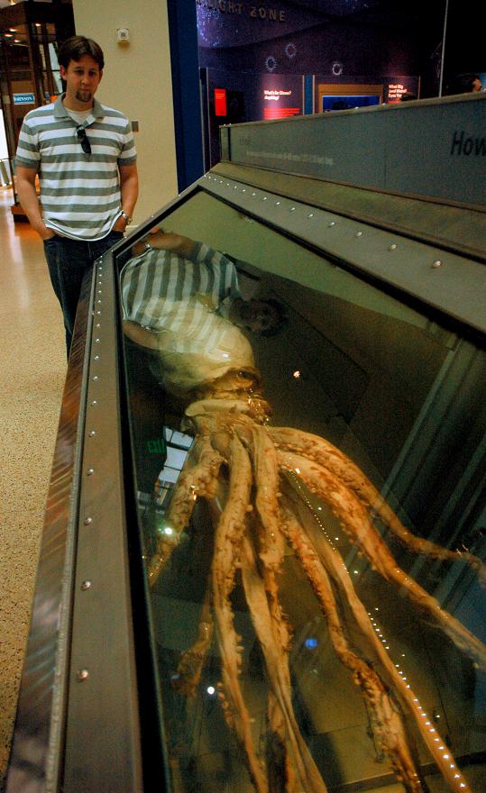 OTIS (Odd Things I've Seen): Photo Essay: Sant Ocean Hall