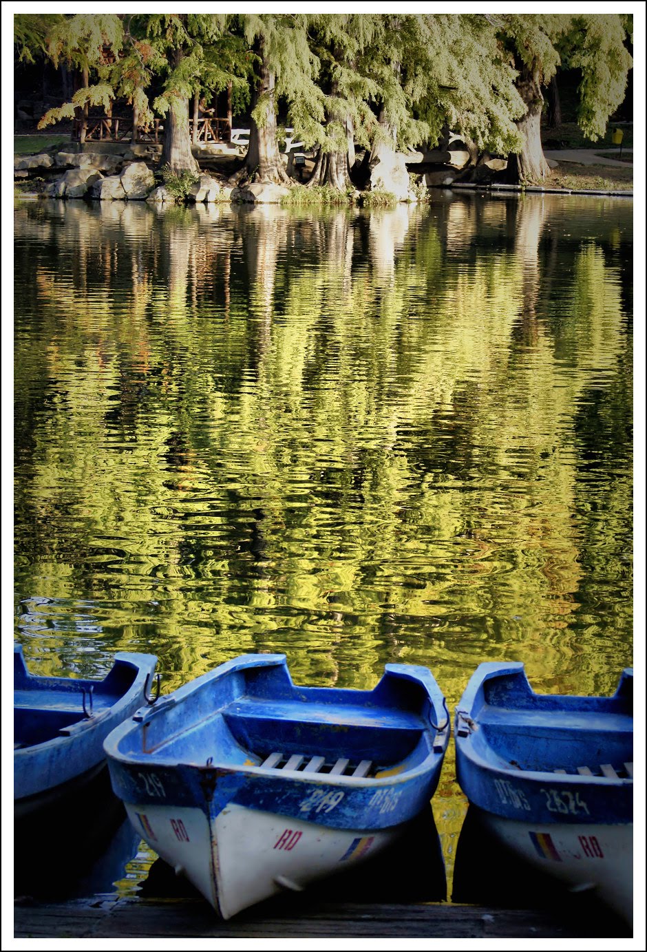 Parcul Romanescu,Craiova..(Romanescu Park,Craiova,Romania)
