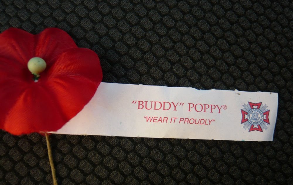 The “Blog” of “Unnecessary” Quotation Marks: "buddy" poppy