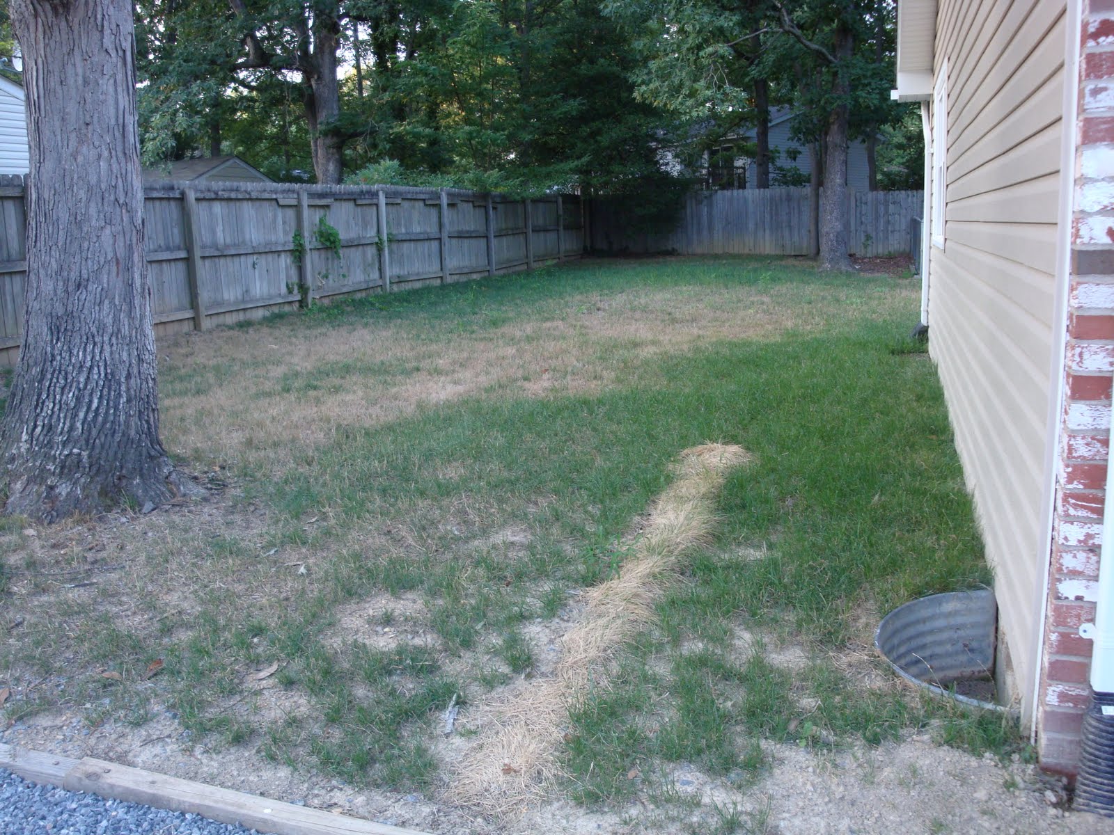 Serenity Now: Trashy Ghetto Neighbor House Update