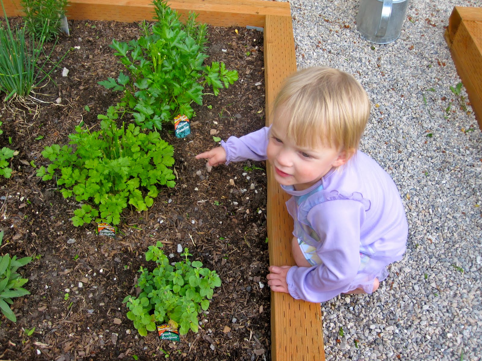 Bird and Berry: How Does Your Garden Grow?