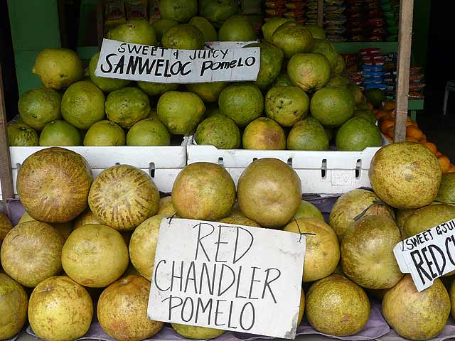 Nueva Vizcaya: Citrus fruit overload! Perante, satsuma, poncan & pomelo ...