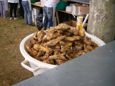 CORIADESDECAURA: FIESTA DEL ALBUR 2009 EN MI PUEBLO CORIA DEL RÍO-SEVILLA.