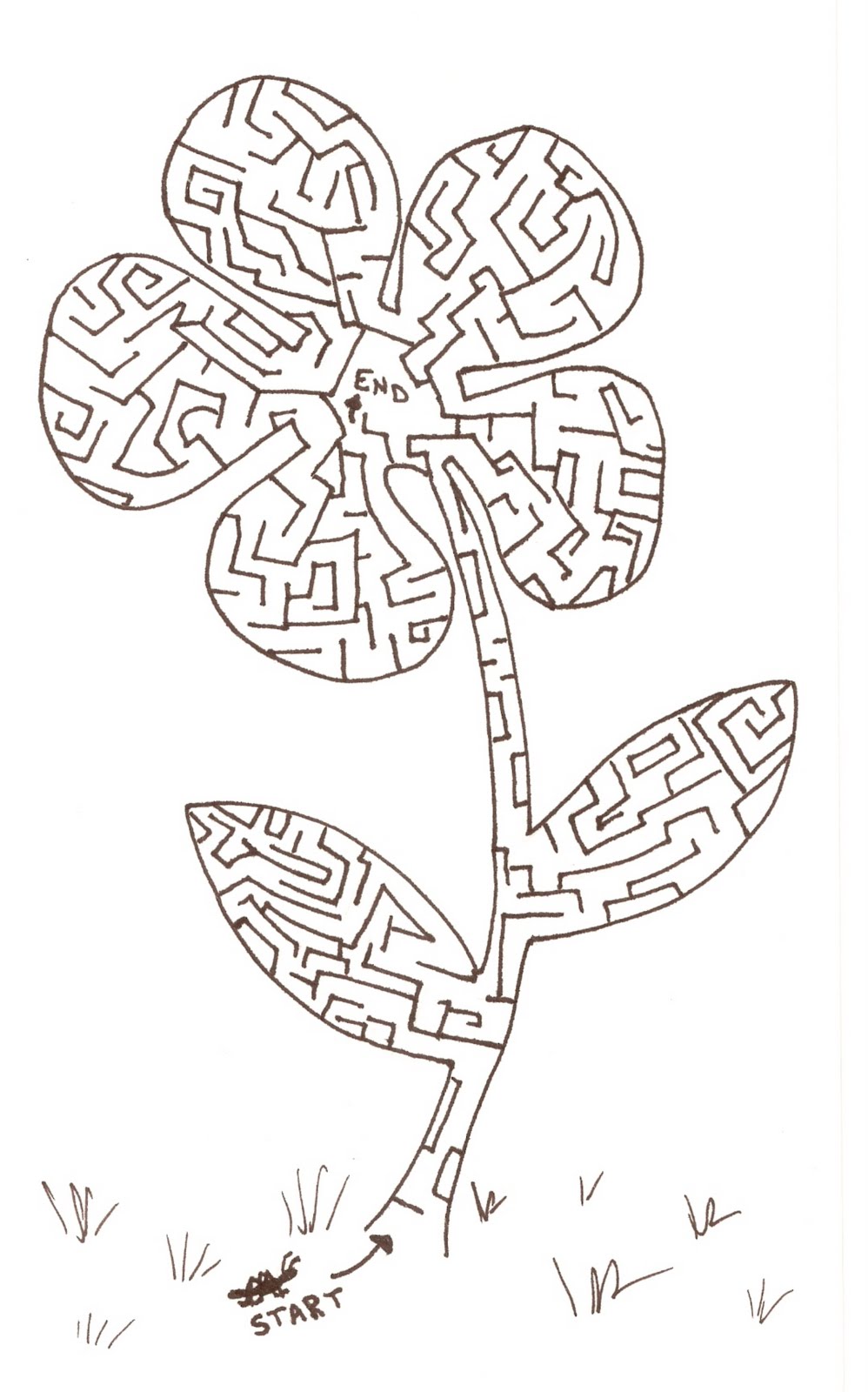 Flowers, Maze