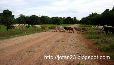 JOTAN23: Day TWO - 4D3N Coron Adventure - Dive/Snorkel/Swim with the ...