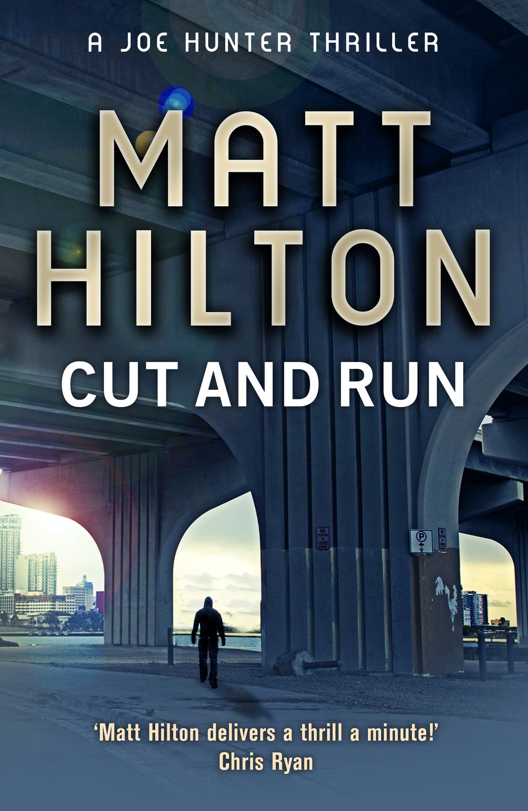 Matt Hilton Thrills: January 2011