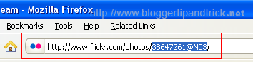 How To Add Flickr Photostream to Blogger | Blogger Tips and Tricks