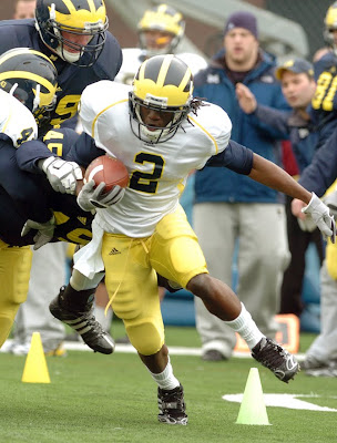 When Carcajous Attack!: Judge Me By My Size, Do You?