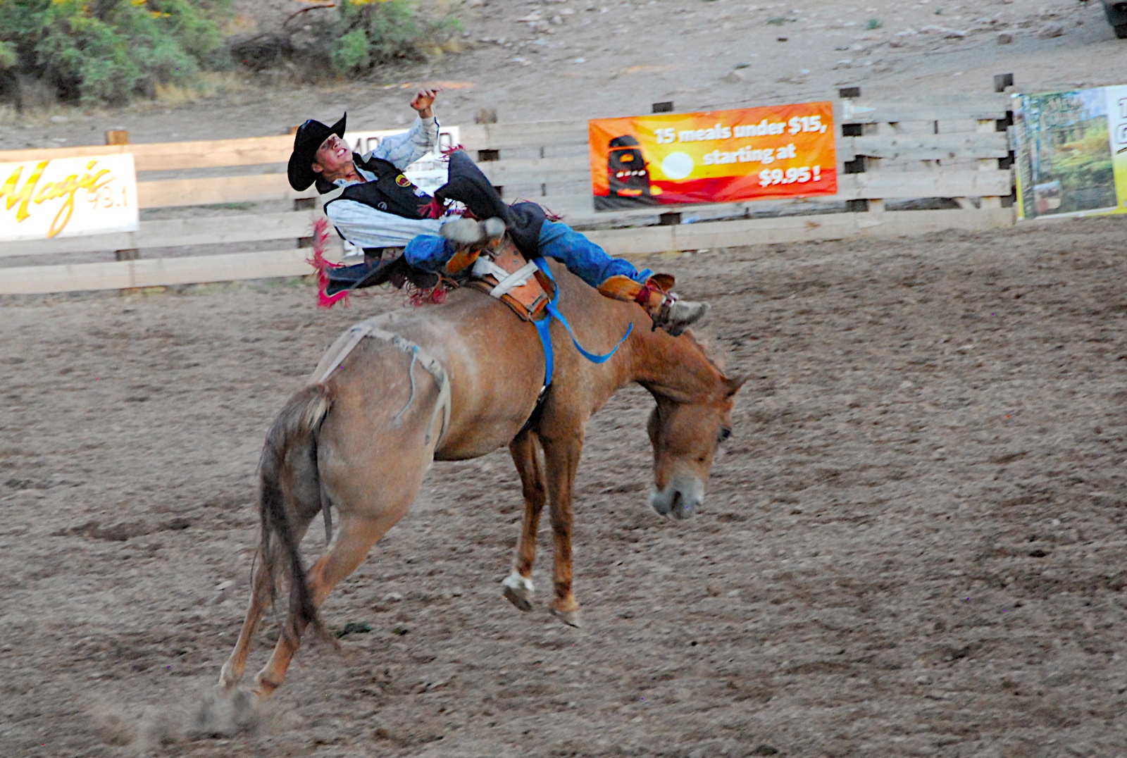 Here's to all about Fruita.: Photos, Rodeo August 24, Barrels,Broncs ...