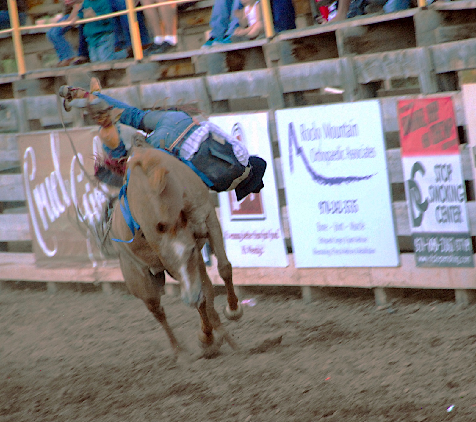 Here's to all about Fruita.: Photos, Rodeo August 24, Barrels,Broncs ...