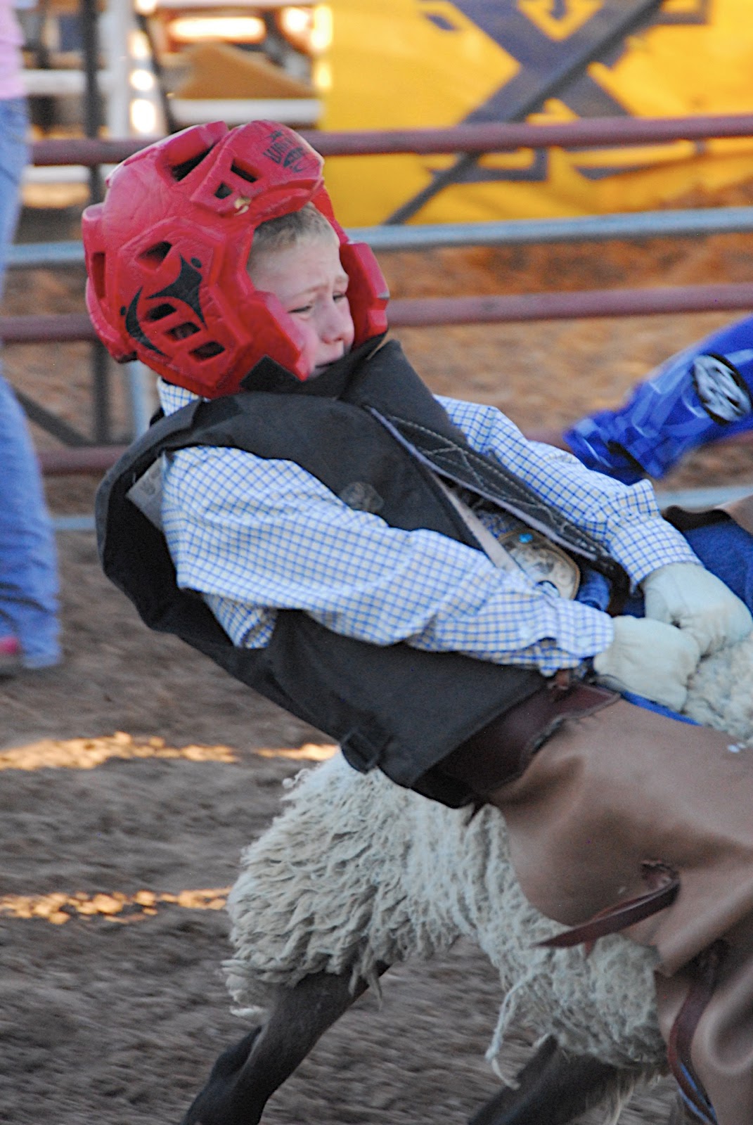 Here's to all about Fruita.: Photos, Rodeo August 24, Barrels,Broncs ...