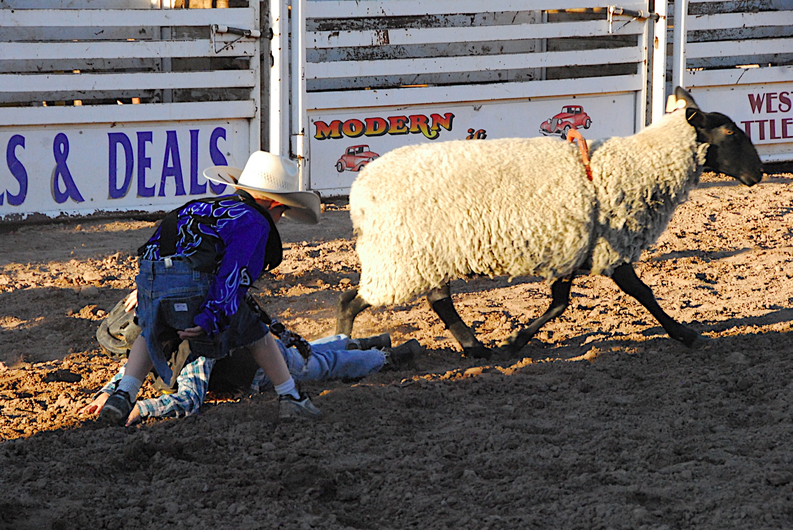 Here's to all about Fruita.: Photos, Rodeo August 24, Barrels,Broncs ...
