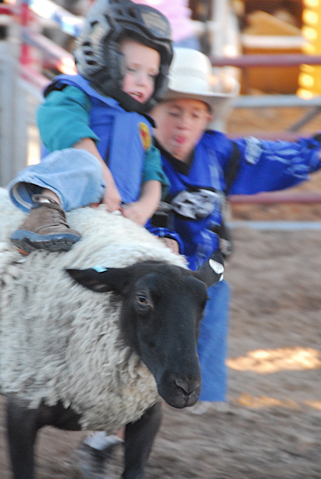 Here's to all about Fruita.: Photos, Rodeo August 24, Barrels,Broncs ...