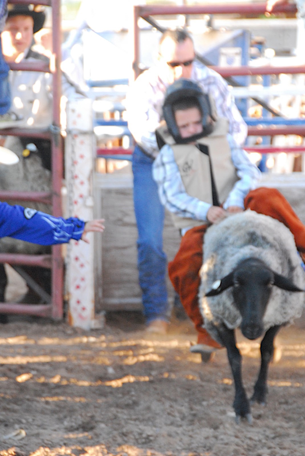 Here's to all about Fruita.: Photos, Rodeo August 24, Barrels,Broncs ...