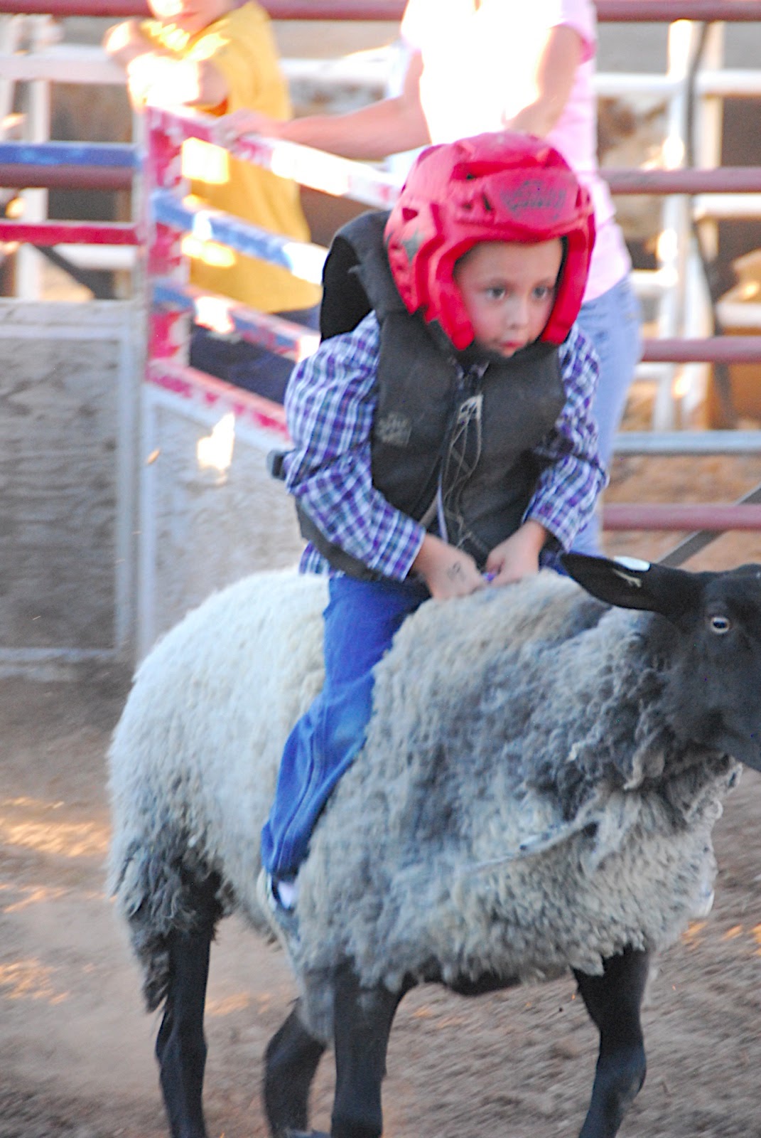 Here's to all about Fruita.: Photos, Rodeo August 24, Barrels,Broncs ...
