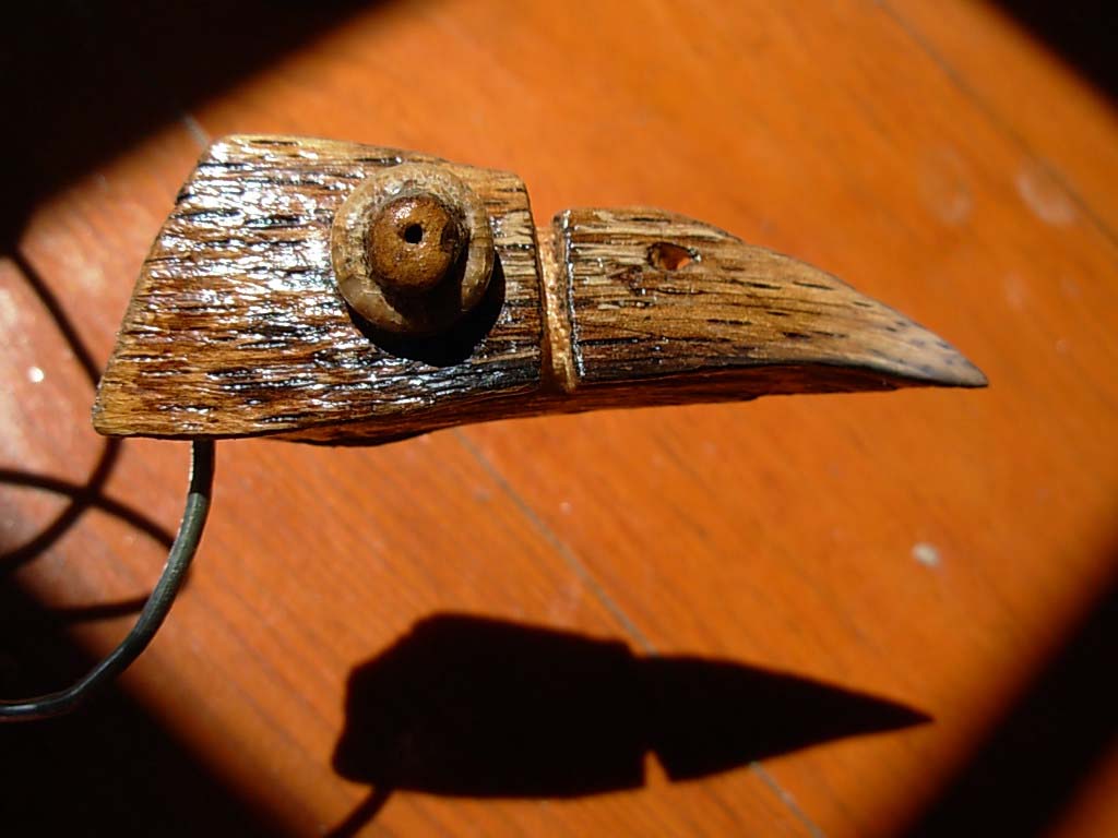 Madeira viva: Pássaro-tricéfalo-rabo-de-colher (2009) Spoon tailed ...