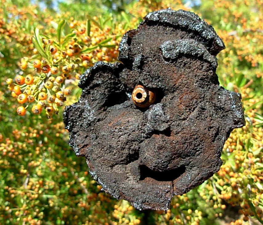 Madeira viva: Ciclope 7 - Bebé / Ciclope 8 - Porco (2009) Cyclops 7 ...