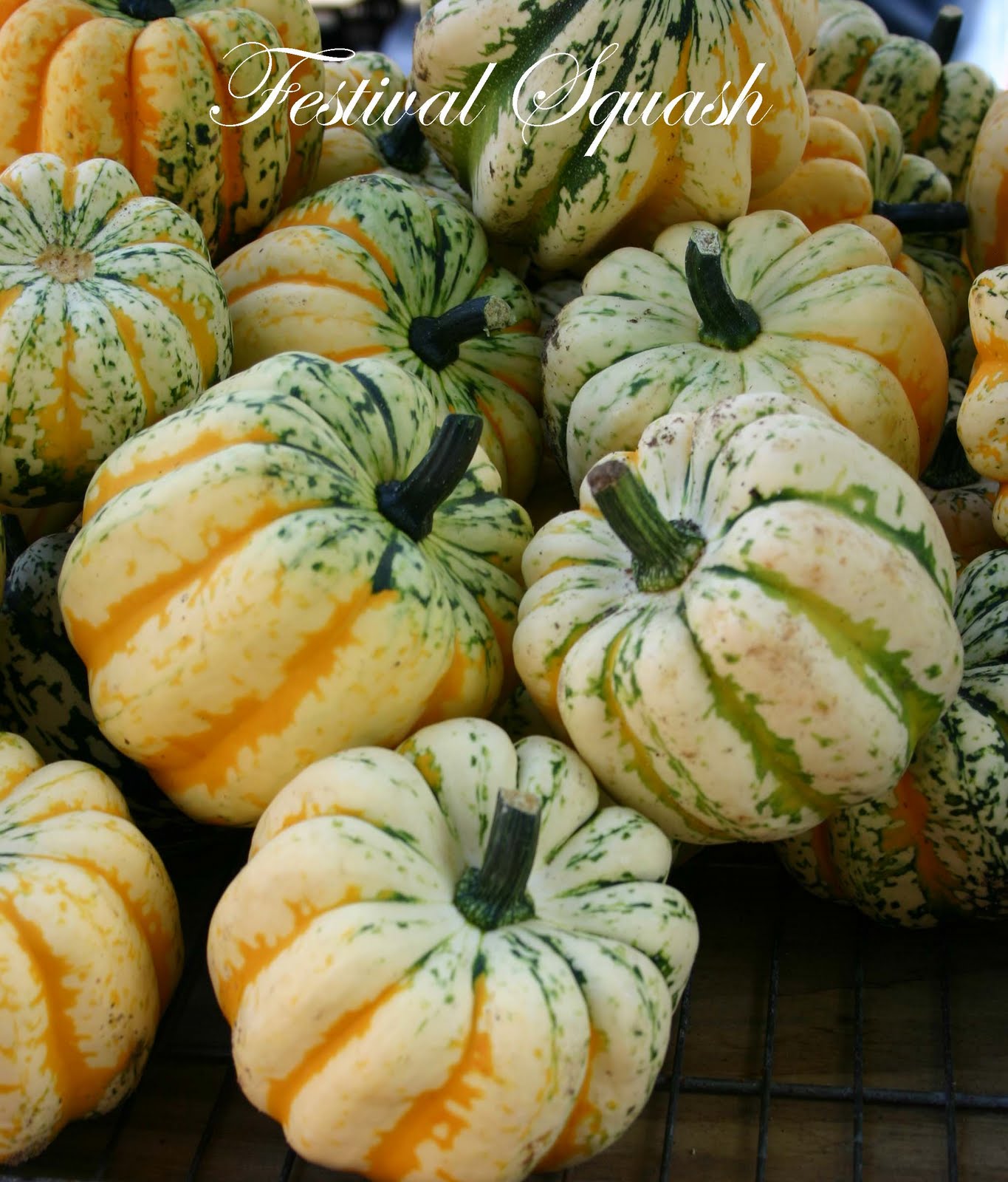 A FARMERS MARKET JOURNEY